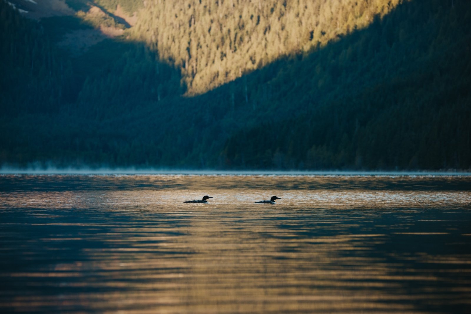 Spring Equinox Reflections: Finding Balance as a Mother in Nature ...